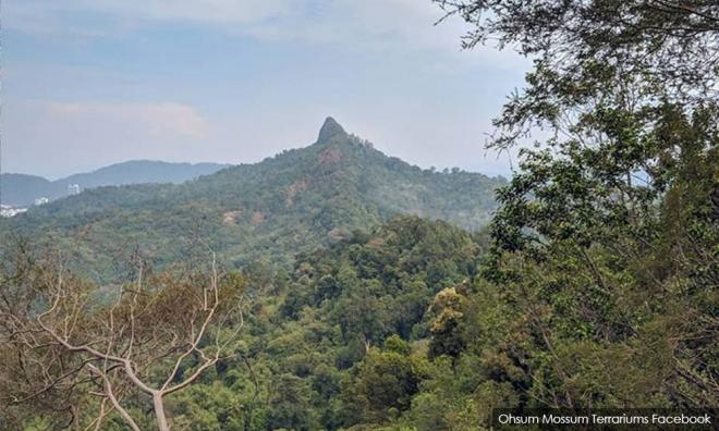 Saving Klang Gates Quartz Ridge a good move, says environmentalist