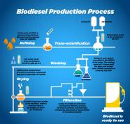 Why Palm Biodiesel Is More Important Than You Thought 