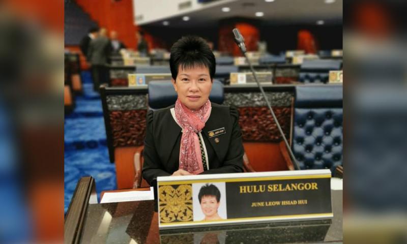 June Leow - low-profile MP whose mantra is grassroots work
