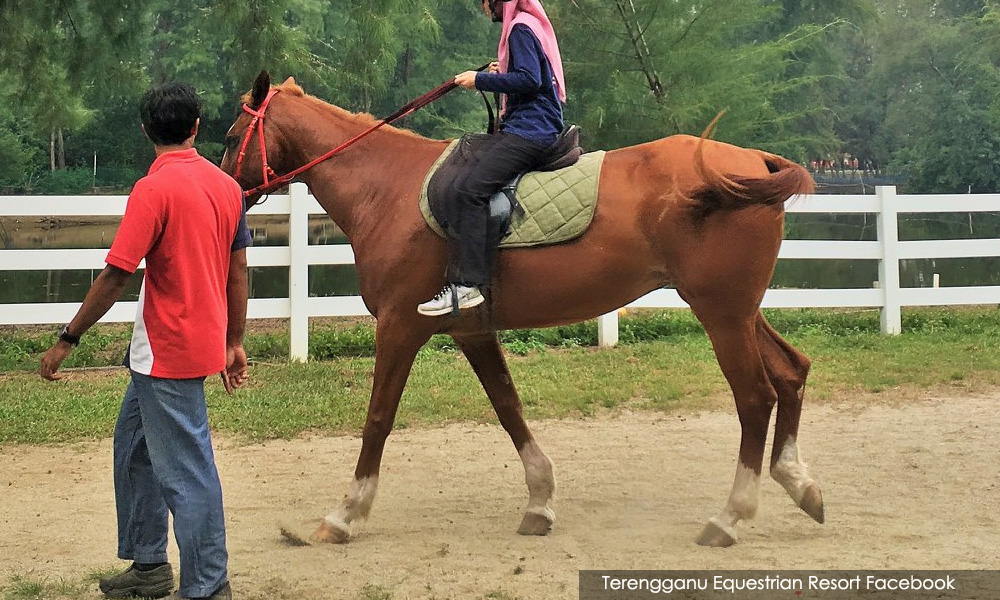 Sports training fees eligible for tax relief next year