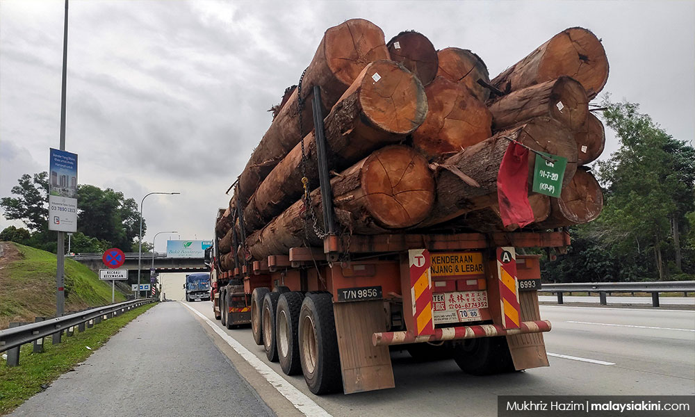 Pemandu lori maut dihempap balak