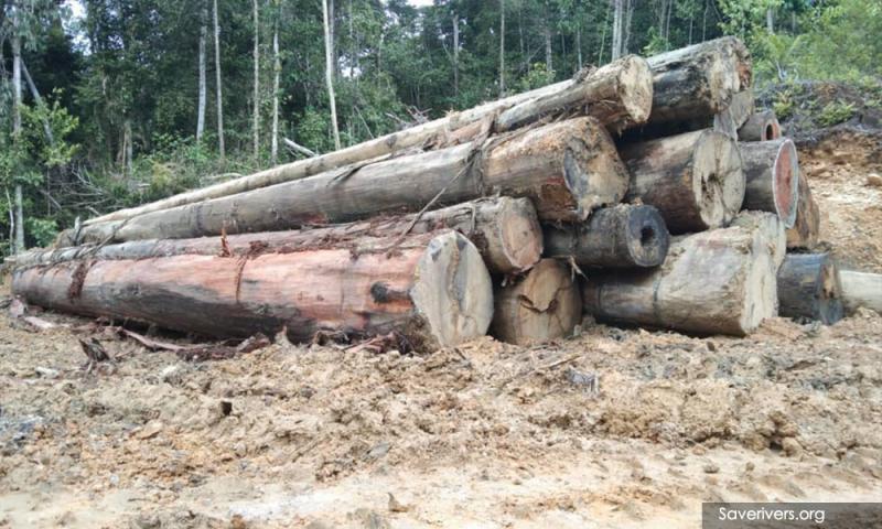 Samling: Action by international body opportunity to clear the air