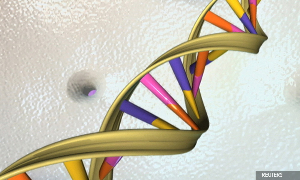 Scientists publish the first complete human genome