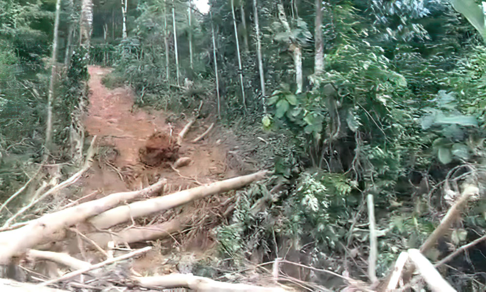 SAM: State govts must be responsible for developers avoiding EIA