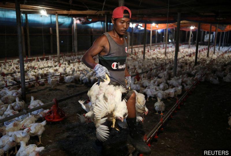 Singapore's national dish affected by Malaysia's chicken export ban